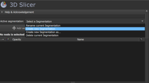 Software to Visualize/Annotate Dicom/Nifti files - PYCAD - Your Medical ...